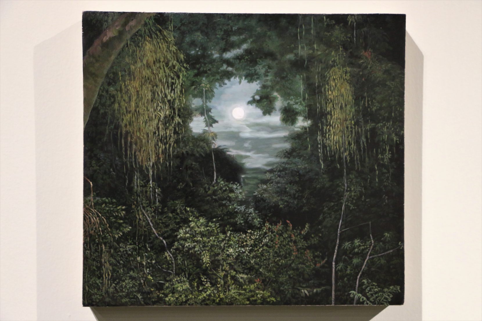 La naturaleza resplandece en Memoria de la Tierra, de María Sada ...