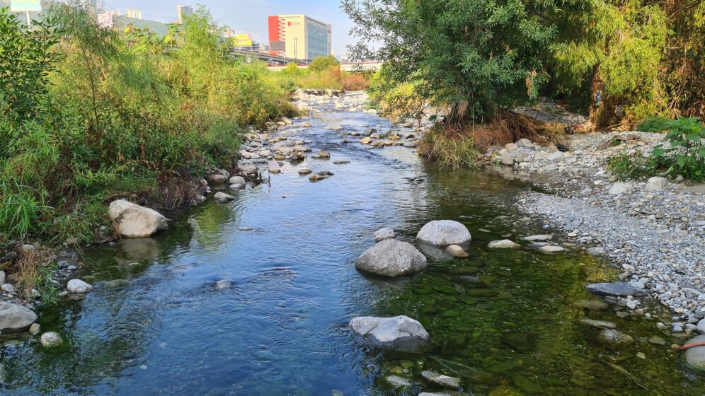 Ciudadanos enriquecerán el conocimiento sobre el Río Santa Catarina ...