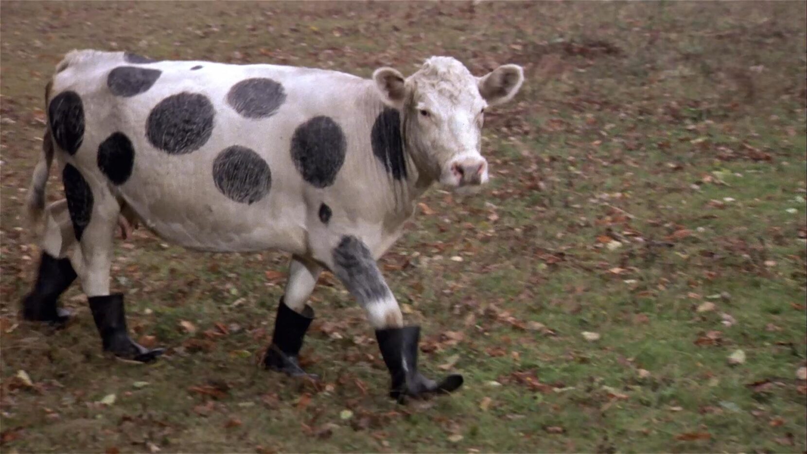 ¡Súper Secreto! : CONARTE Nuevo León